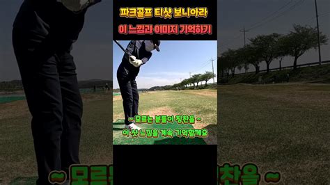 파크골프 티샷 느낌과 이미지 기억하기 헤드 무게 느끼고 그네운동 이미지 파크골프치는법 Youtube
