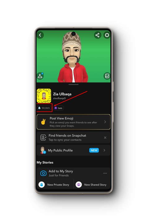 Whats The Highest Snap Score In The World Appuals
