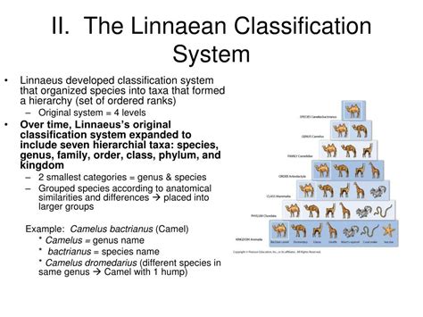 Ppt Chapter 18 Powerpoint Presentation Free Download Id 1017708