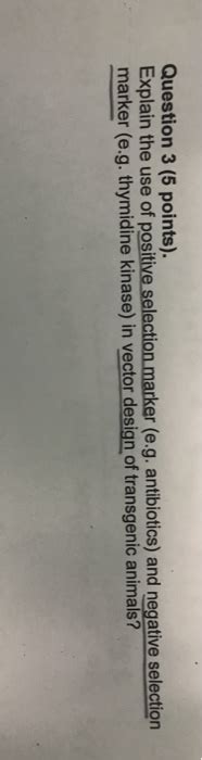 Solved Question 3 5 Points Explain The Use Of Positive