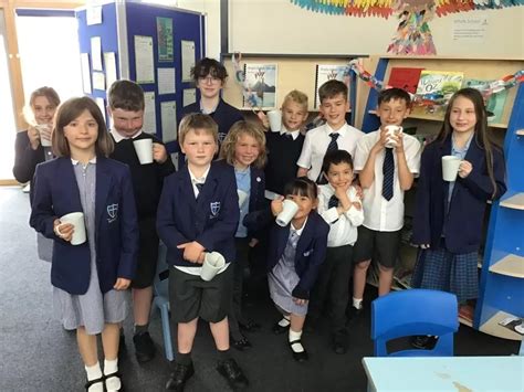 Twynham Primary School Ofsted Ratings Reviews Exam Results