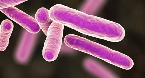 A Microscopic View Of Clostridium Bacteria Reveals A Genus Of Gram Positive Spore Forming