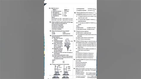 𝐂𝐥𝐚𝐬𝐬 𝟏𝟐 𝐌𝐨𝐜𝐤 𝐓𝐞𝐬𝐭 𝐅𝐨𝐫 𝐍𝐞𝐞𝐭 𝐜𝐡𝐞𝐦 And 𝐁𝐢𝐨 Class12 Neet Mocktest Neet2023 Youtube