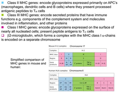 Hla And Cytokinesppt