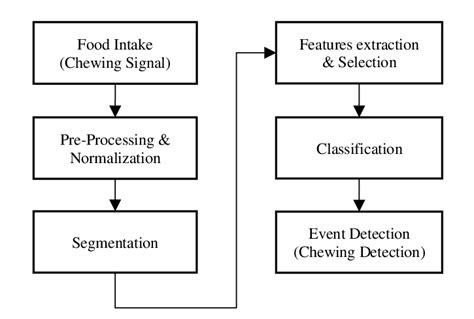 A Typical Process Of Chewing Activity Detection Download Scientific Diagram