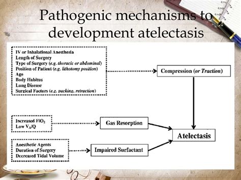 Ppt Pulmonary Atelectasis Powerpoint Presentation Free Download Id