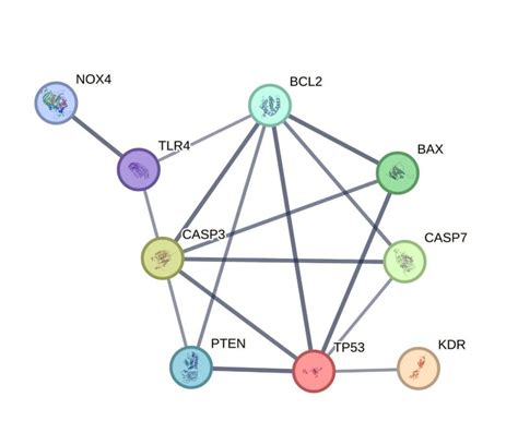 Mostafa Sayed On Linkedin 💊unlocking The Power Of Data Driven Drug