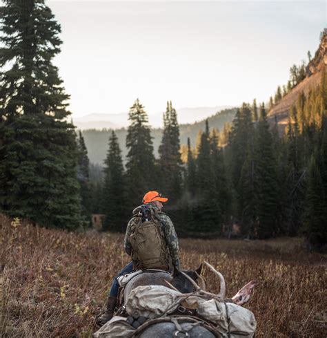 Wyoming Moose Hunt Maven Outdoor Equipment Company