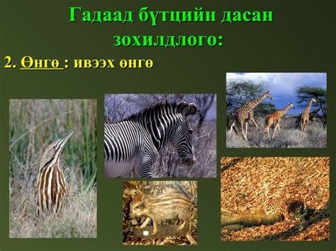 Amid Biyiin Zohildlogoo Ppt