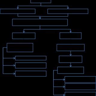 Layout Of The Research Program Download Scientific Diagram