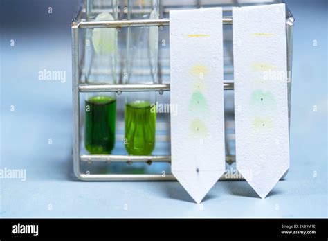 Chromatography Photography At Samantha Tomlinson Blog