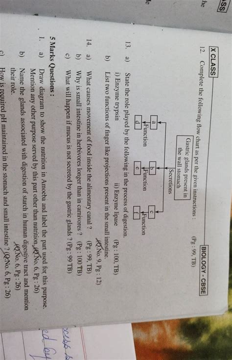 X CLASS N Complete The Following Flow Chart As Per The Given Intrution
