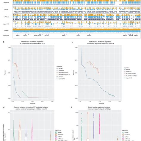 Comparison Between Mustard And Existing Pre Mirna Detection Algorithms