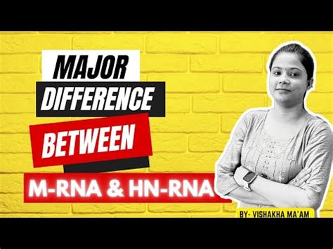 What Is The Major Difference Between MRNA HnRNA Mrna Hnrna Eukaryoticcell YouTube