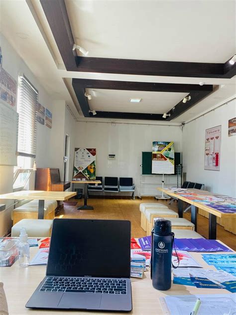 Соёл урлагийн сургуулийн Соёл урлагийн их сургууль