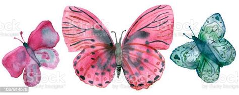 화려한 나비 흰색 배경에 고립의 수채화 배너 그림입니다 손으로 그린 디자인 및 장식의 초대장 및 인사말 카드 사랑에 대 한 발렌타인의 하루입니다 검은색에 대한 스톡 벡터