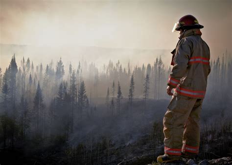 The Dangers Of Overloading Circuits And How To Avoid Electrical Fire Hazards