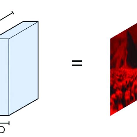 RGB Image Divided Into Three Color Channels Download Scientific Diagram