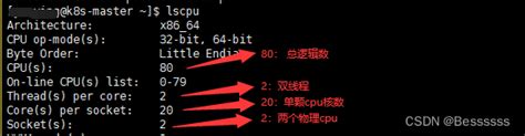 服务器硬件信息查询，cpu、内存、硬盘怎么查看服务器的cpu和内存 Csdn博客