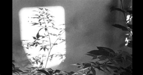 한강 노벨문학상 후 첫 책 빛과 실…미발표 산문 3편 등 수록