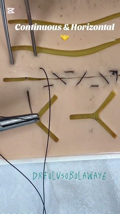 Simple Continuous And Horizontal Suture Pattern Hybrid Vetstudent