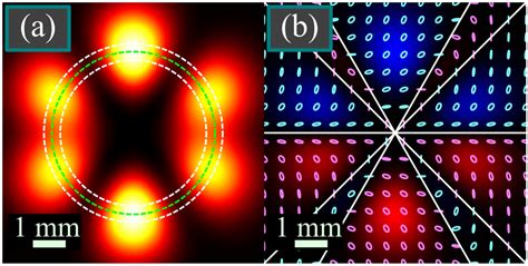 Spin Hall Effect Of Two Index Paraxial Vector Propagation Invariant Beams