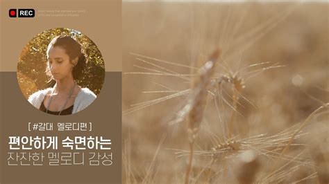 갈대밭에 잔잔한 수면음악🎧 수면 유도 음악 잠들때 듣는 음악 잠오는 음악 잠잘 때 듣기 좋은 노래 갈대소리 힐링음악 Youtube