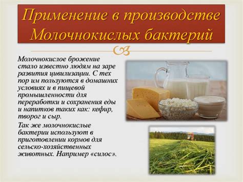 Молочнокислые бактерии - презентация онлайн