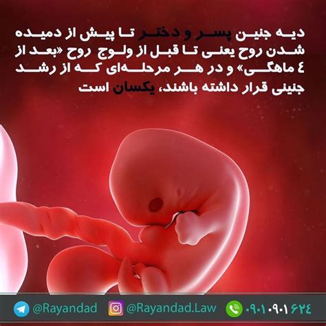 دیه جنین پسر و دختر تا پیش از دمیده شدن روح یعنی تا قبل از ولوج روح بعد