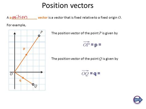 vector origin at collection of vector origin free for