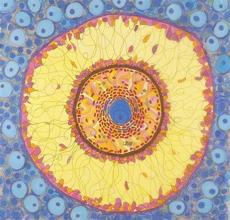 Sex Cells Evolved To Pass On Quality Mitochondria Jaivikshastram Education And Research Foundation