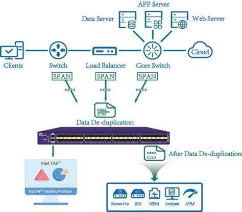 Network Packet Broker With Tunneling Protocol Identify Net Tap With Data Deduplication