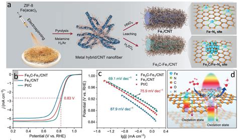 A Review On Recent Developments In Transition Metal And Heteroatom‐doped Carbon Catalysts For