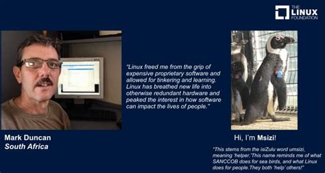 Linux At A Penguin For Your Thoughts