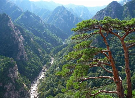 Travel Adventures Republic Of Korea South Korea A Voyage