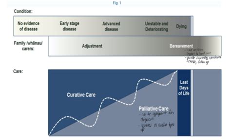 Ethics And Palliative Care And Ebp Flashcards Quizlet