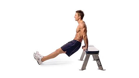 Bench Dips Compound Exercise For The Triceps • Bodybuilding Wizard