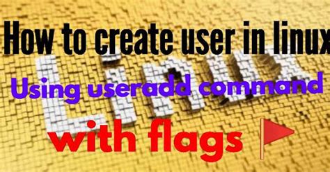 Sudo Useradd Linux Command With Flags And Examples Pro Tech Guides