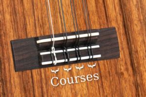 8 String Ukulele Tuning