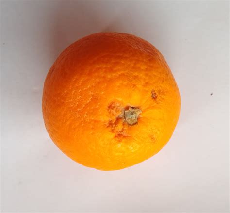 How R U Roboflow Universe