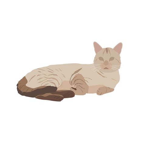 Illustration Architecture Collage Animal Illustration