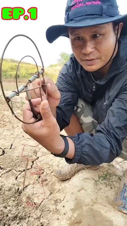 🔼วิธีเลือกดูหมายดักหนูช่วงหน้าแล้ง ดักหนูนา หมานใครหมานมัน หนูนา