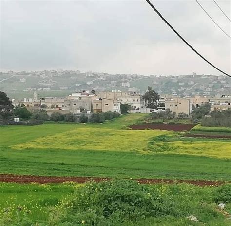 اربد عاروس الشمال