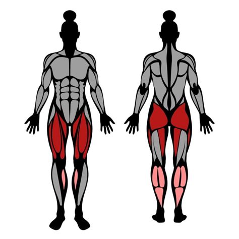 How To Do Chair Squat Muscles Worked And Proper Form Strengthlog