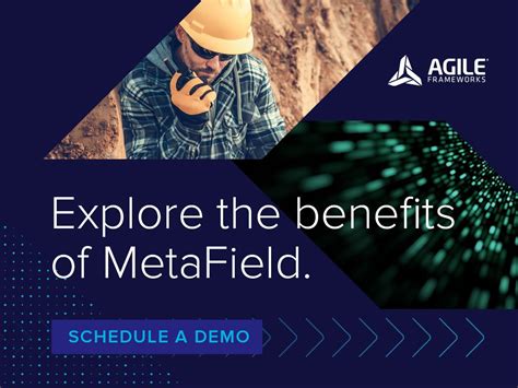 Agile Frameworks Llc Metafield On Linkedin Request A Demo Of Metafield