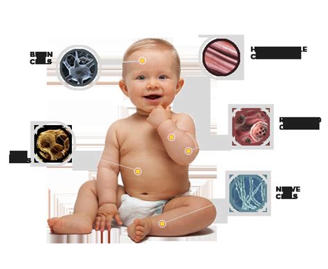 Miniaturization Composability And Internet Of Things Iot