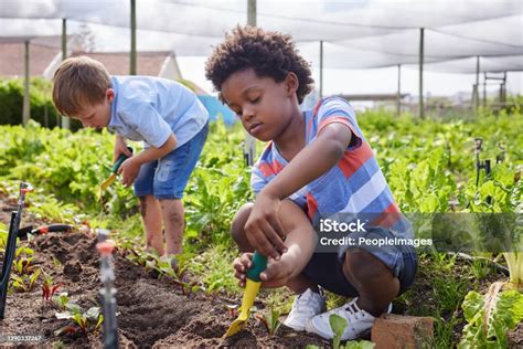 친구와 함께 농장에서 일하는 사랑스러운 어린 소년의 전체 길이 샷 아이에 대한 스톡 사진 및 기타 이미지 아이 농장 견학 Istock