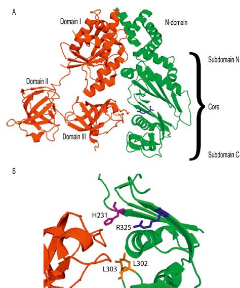 Figure 1 From Analysis Of The Functional Consequences Of Lethal