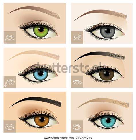 Set Different Female Eye Shapes Upturned Stock Vector Royalty Free