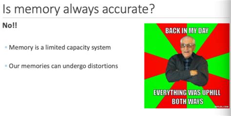 Memory Errors Flashcards Quizlet